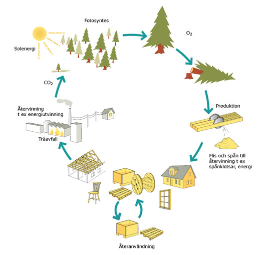Träprodukters kretslopp - TräGuiden